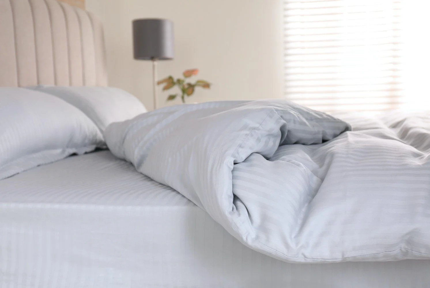 Q Homes Outlet LLC – The complete home store.